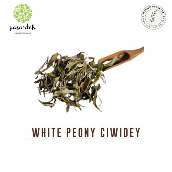 Kategori: White Tea - Pasarteh